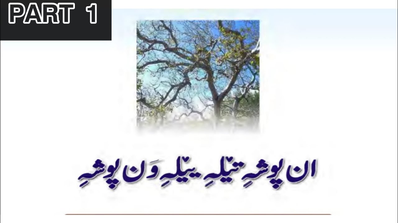 JKBOSE CLASS 8TH KASHMIRI CHAPTER 4 |AN POSH TELI YELI WAN POSH | LINE ...