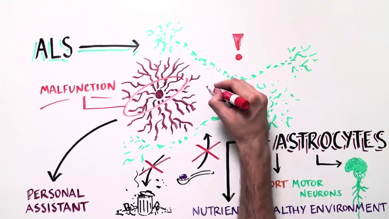 ALS Whiteboard Video -- Full - YouTube