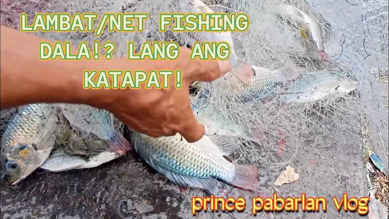 LAMBAT/NET FISHING/DALA?!LANG ANG KATAPAT! - YouTube