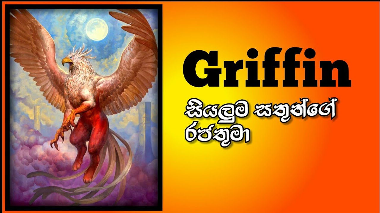 GRIFFIN . කියන සත්වයා ගැන දැනගන්න - YouTube