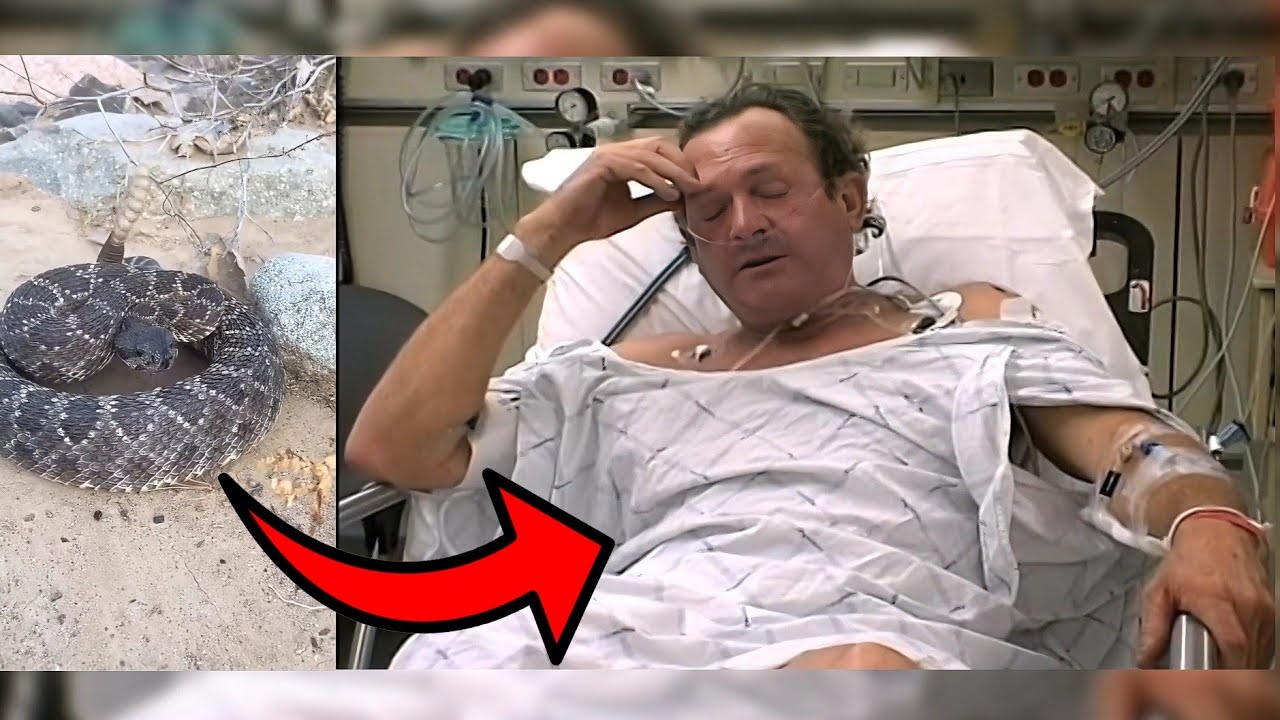 The Most Terrifying Complications of Envenomation | Lessons from Ross ...