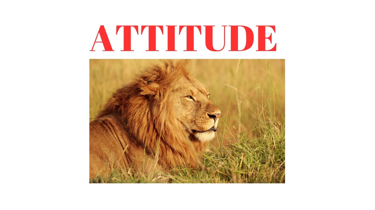 ATTITUDE MAKE THE DIFFERENCE - YouTube