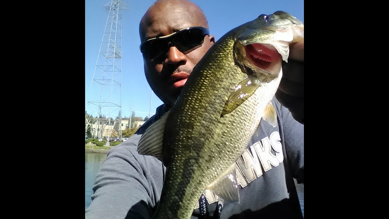 Lake Washington Bass Fishing Trip Number 2 - YouTube
