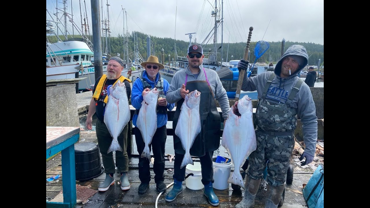 Halibut Fishing w/ Pipe Jigs w/ Humpback Whale feeding Swiftsure Bank ...