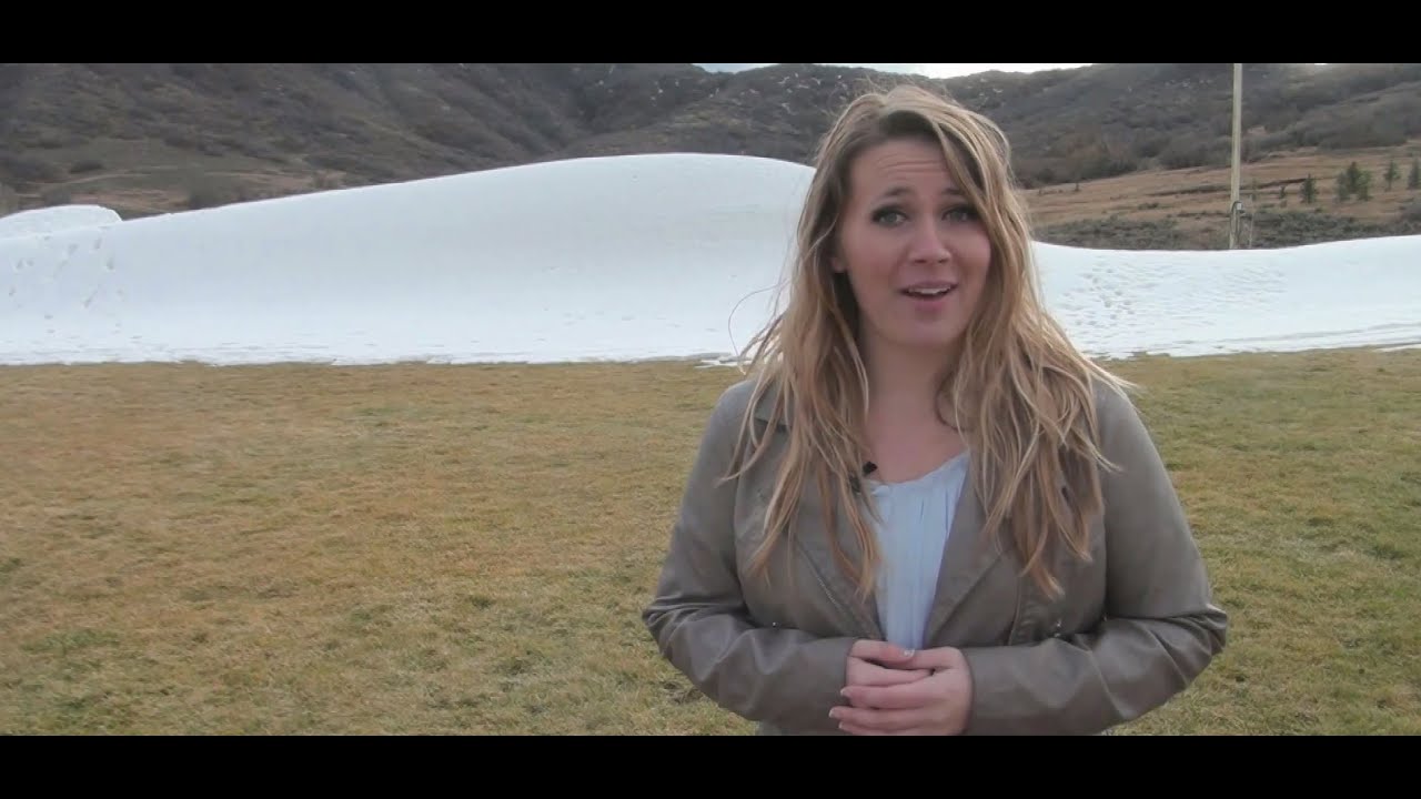 Marissa Hadley - Reporter Reel - YouTube