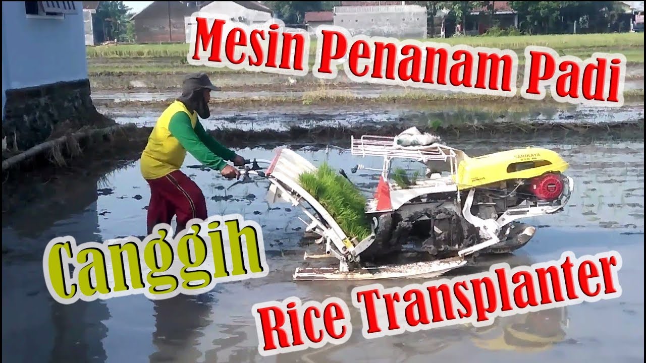 Mesin Penanam Padi/ Rice Transplanter - YouTube