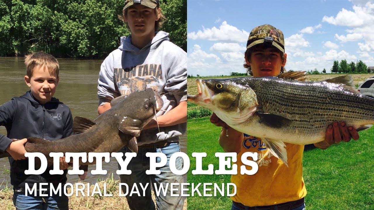 Ditty Poles | How To Catch Flatheads | Iowa River | Ted Zangerle - YouTube