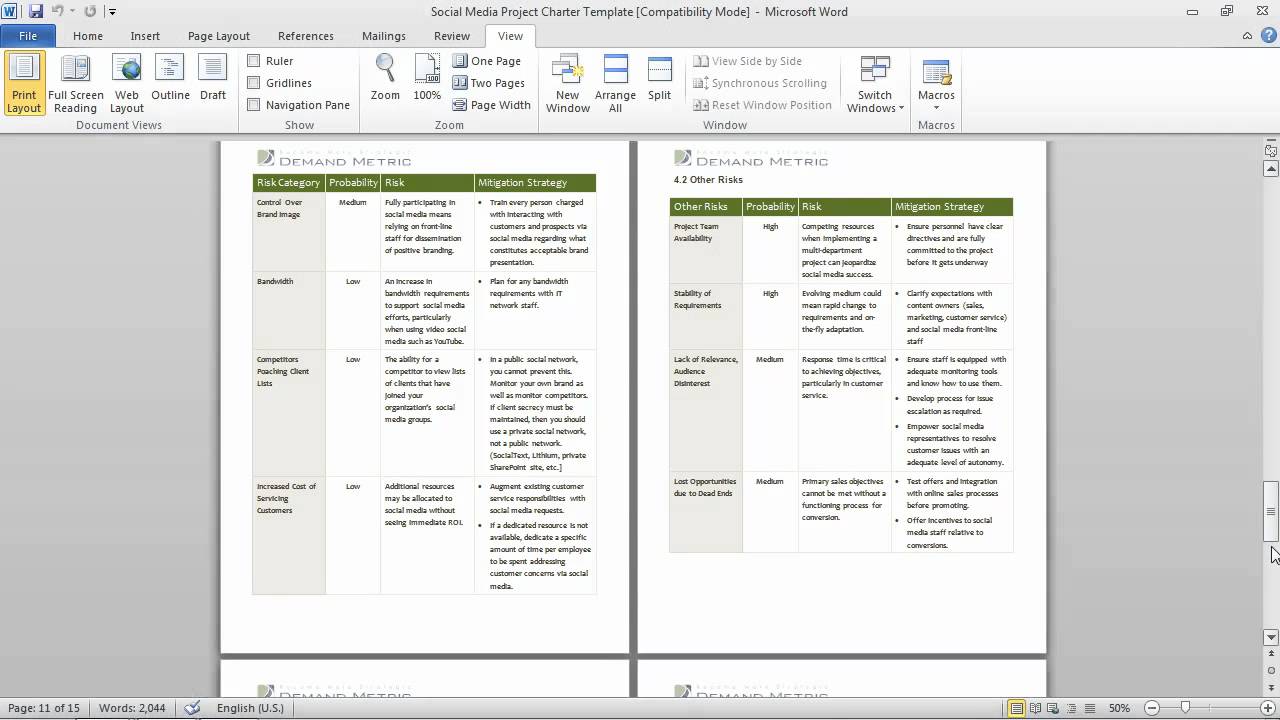 Social Media Project Charter Template - YouTube