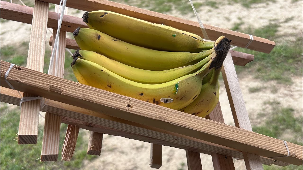 Survival tip #4: Building an emergency basket - YouTube