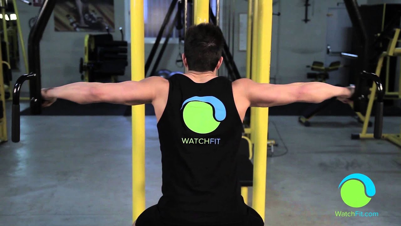 Machine reverse fly exercise, hypertrophy training to workout your ...