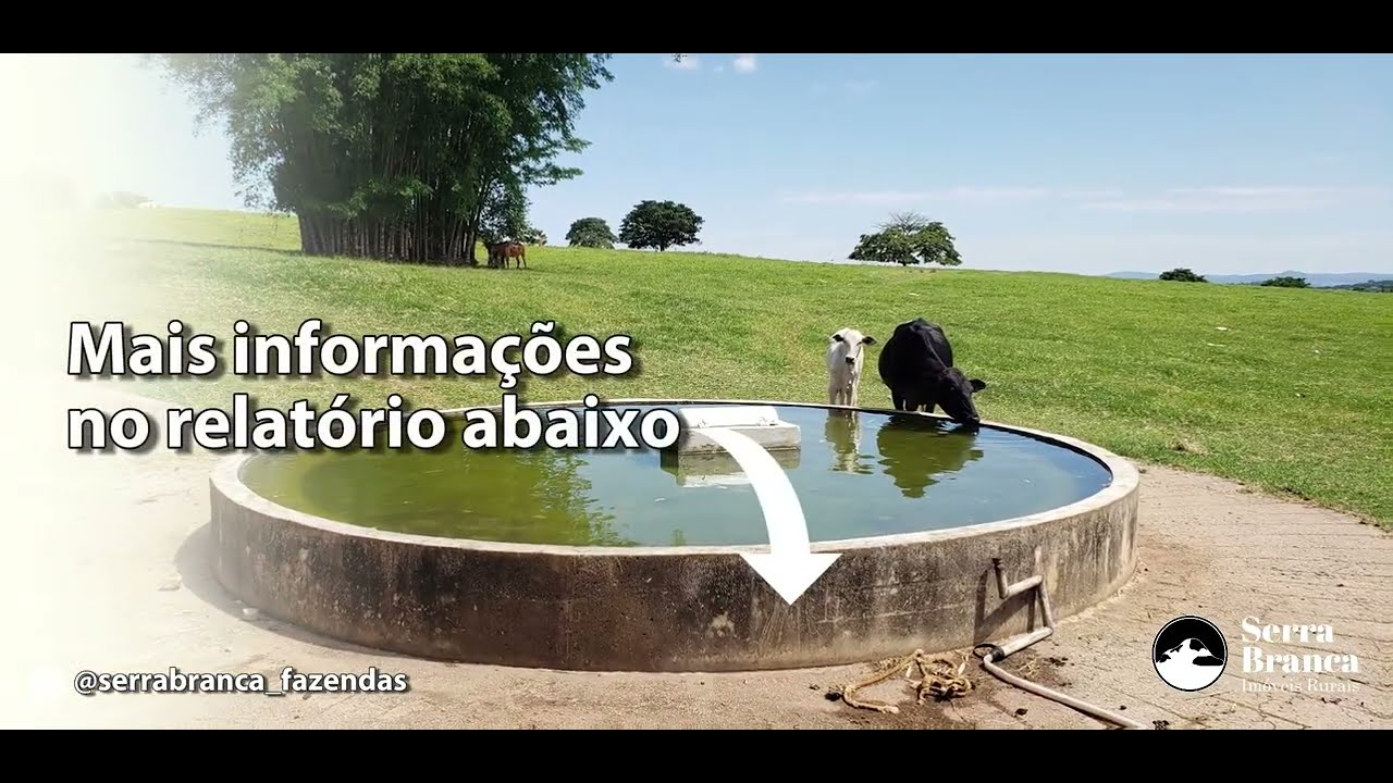 Fazenda em Goiás | 430 alqueires goianos | Região Centro - norte Cód ...