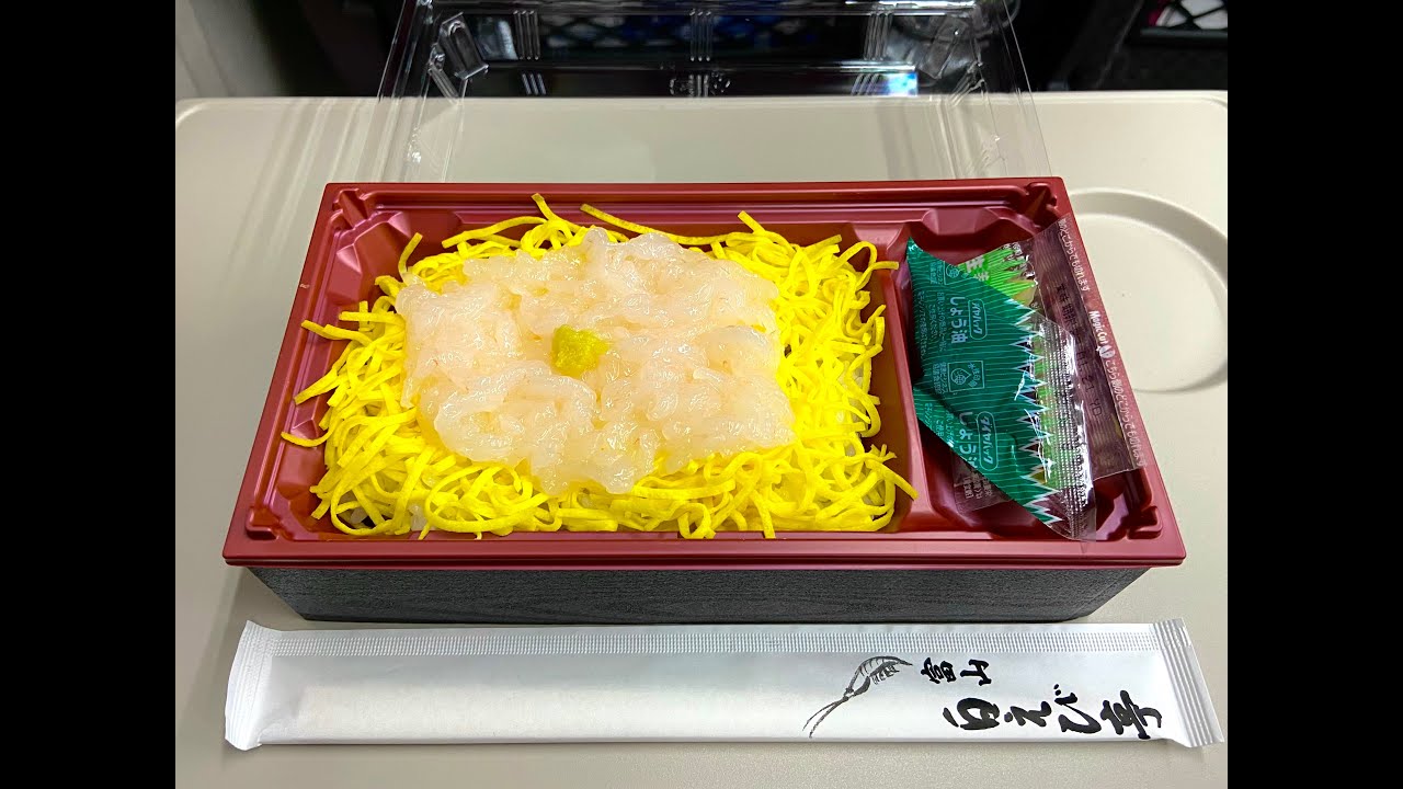 How to Japan - Day 14.6 Toyama Shiroebi Sashimi Don 富山白えび刺身丼 (Nagano 長野 ...