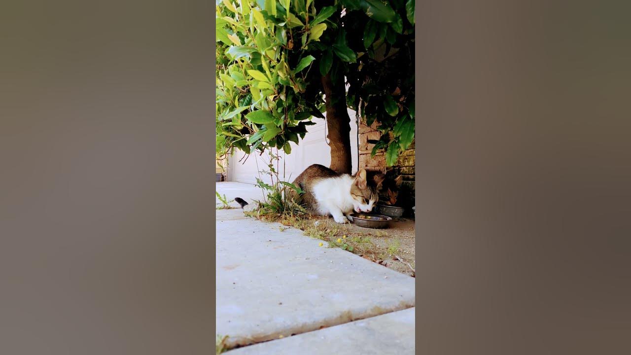 June 12, 2024 - YouTube