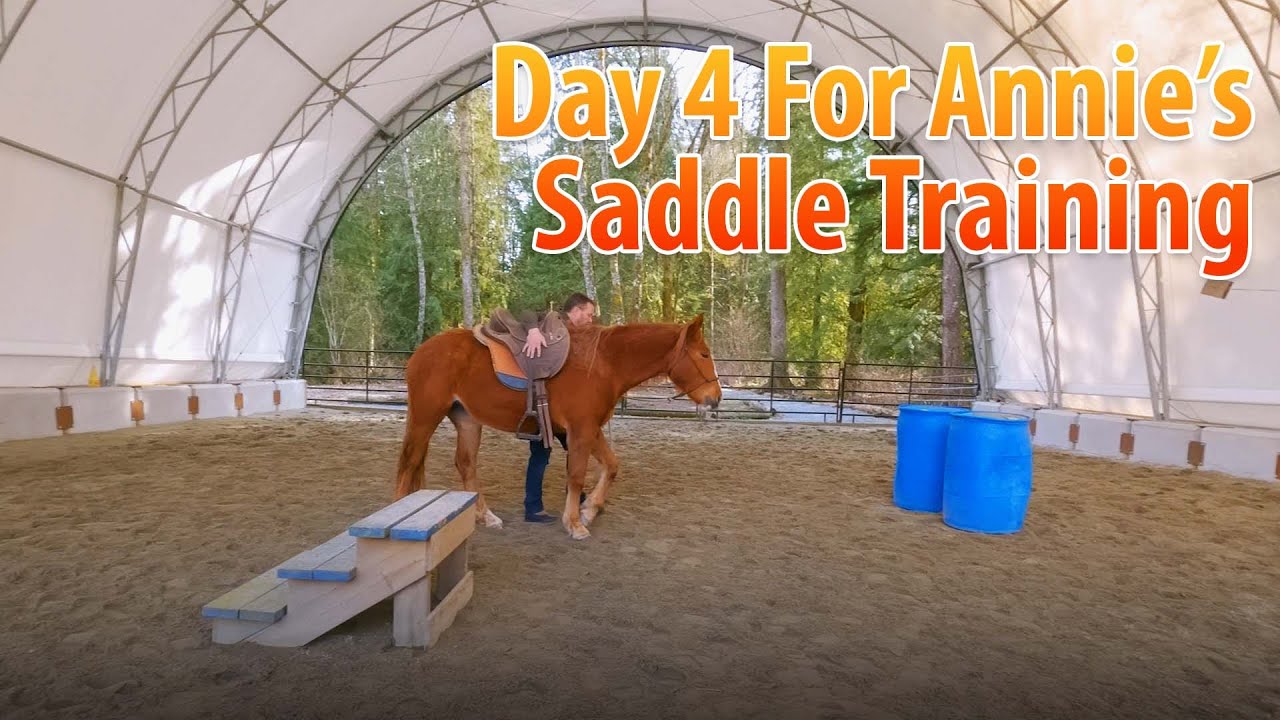 Day 4 For Annie's Saddle Training And Groundwork - YouTube