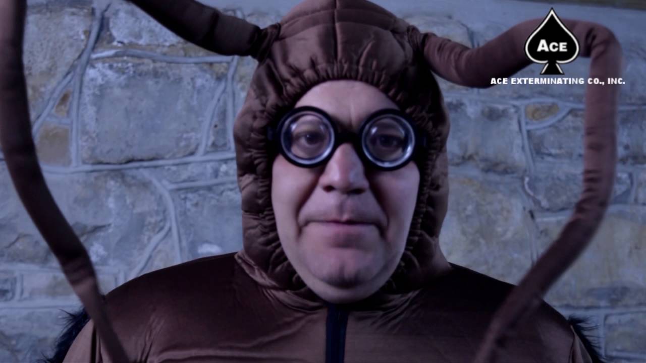 Say No To Ace & Say Yes To Bugs - YouTube