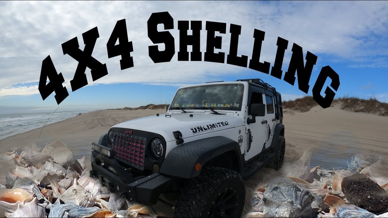 Shelling on 4x4 beach Is Fun And Relaxing To Find Some Cool Shells ...
