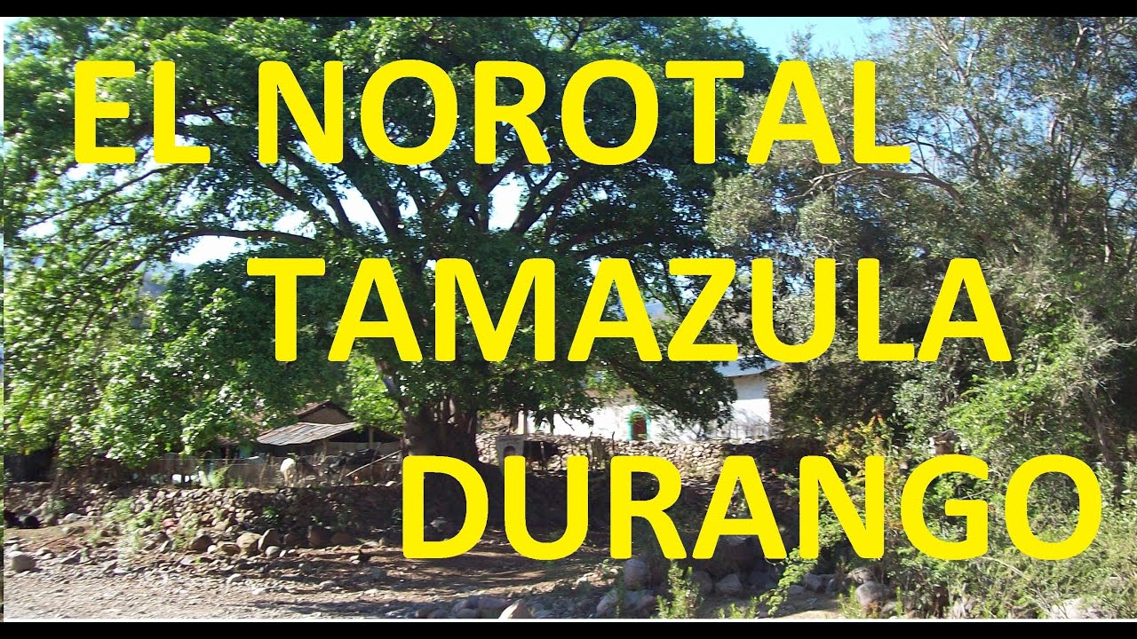 Documental el norotal tamazula durango - YouTube