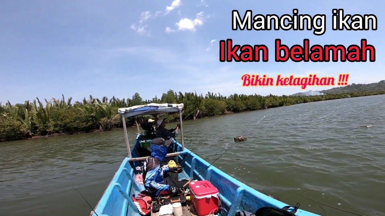 Mancing ikan blamah segara anakan || cilacap - YouTube