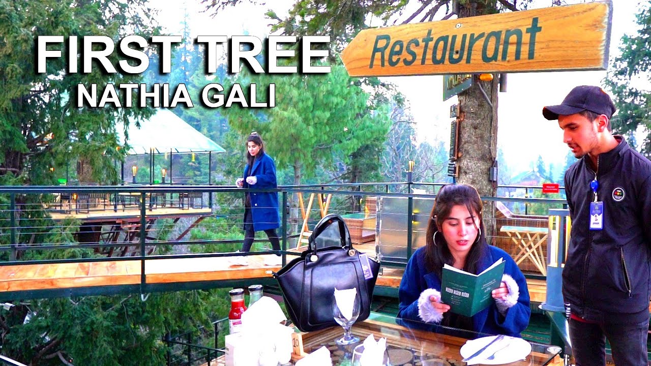 Pakistan First Tree Restaurant In Nathia Gali | Alpine Hotel & Resort ...