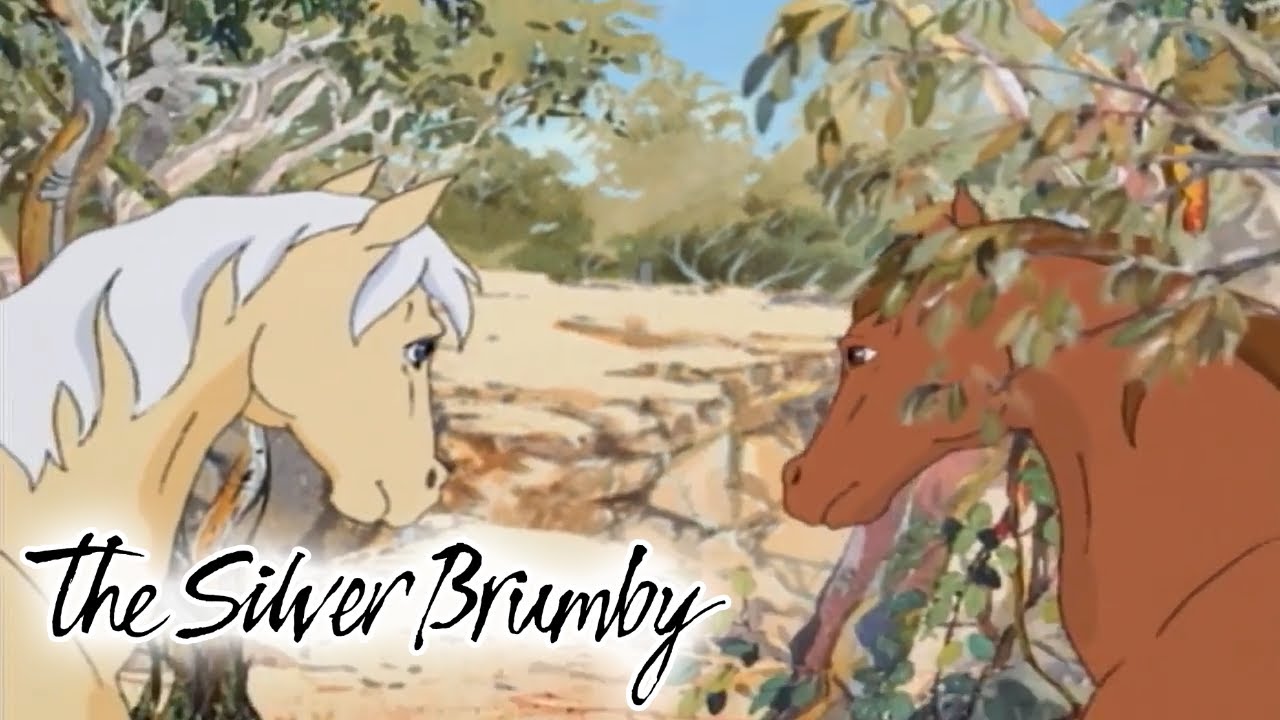 The Silver Brumby - Searching For A lost Horse (HD - Full Episode ...