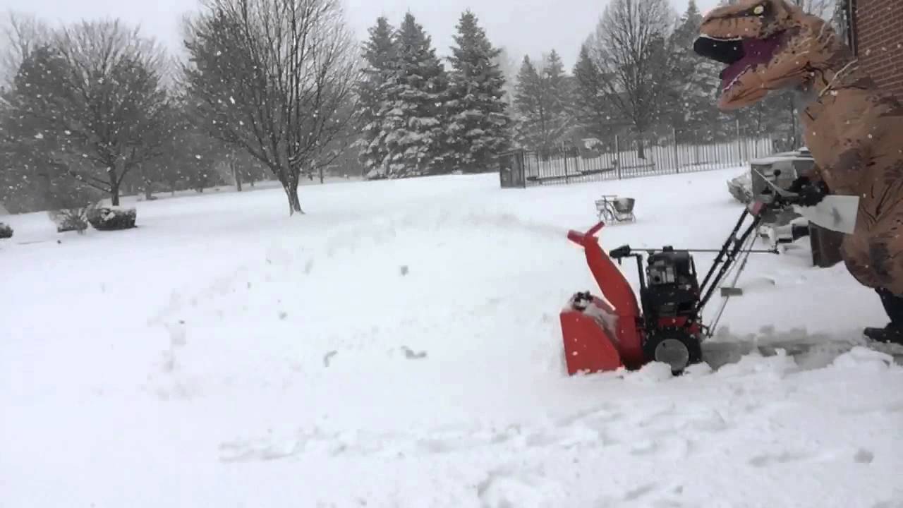 T-rex in a snowstorm - YouTube