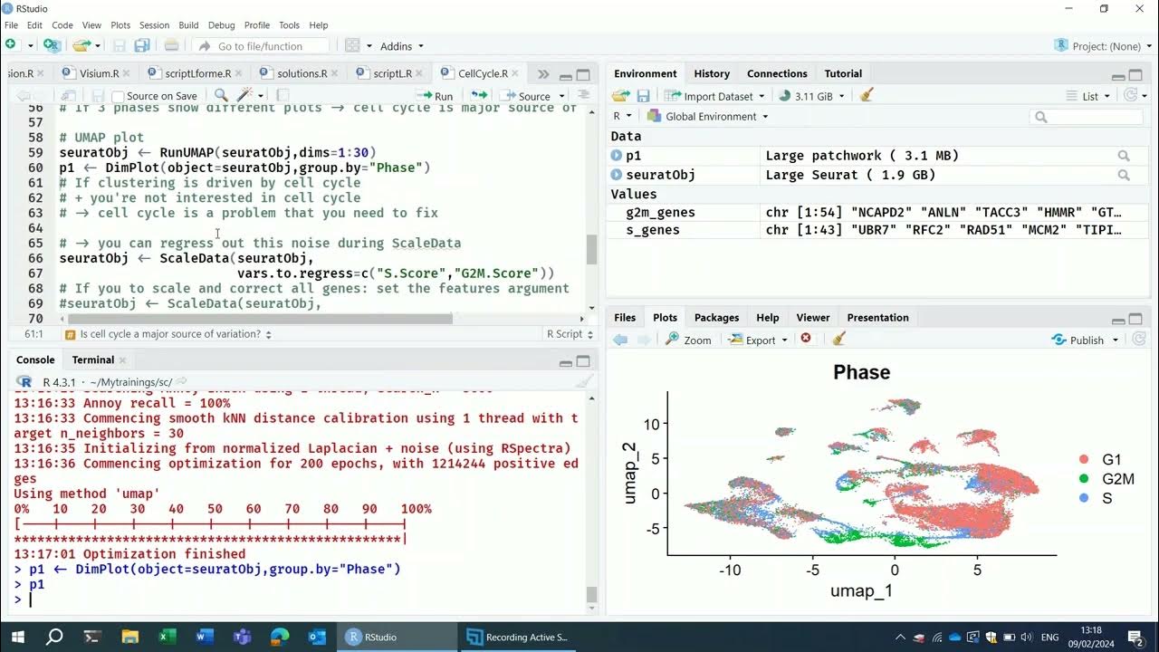VIB Tech Training: Cell cycle analysis on single cell RNASeq data - YouTube