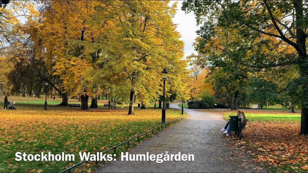 Stockholm Walks: Humlegården in glorious autumn colors - YouTube
