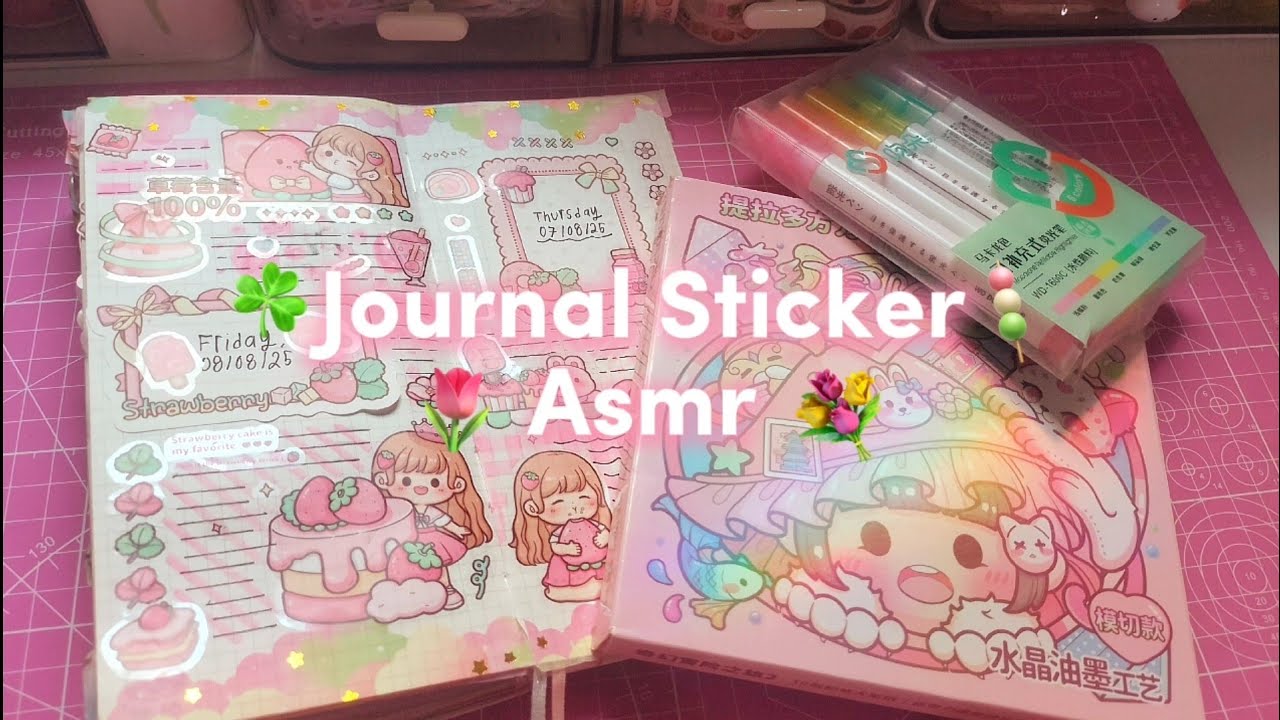 Aesthetic Pink Journal 🩷 Journal Sticker Asmr 💐🌈 - YouTube