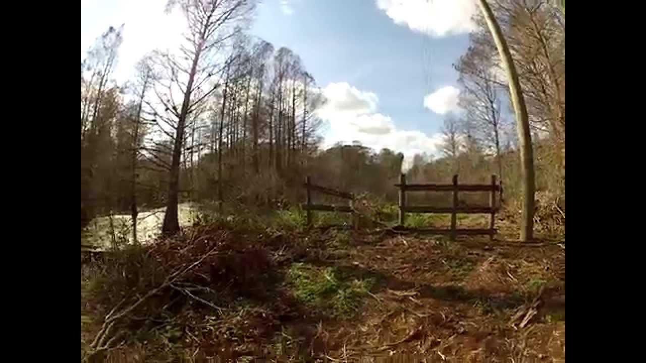 "End of The Line" Exploring Main Line Rd in The Green Swamp West - YouTube