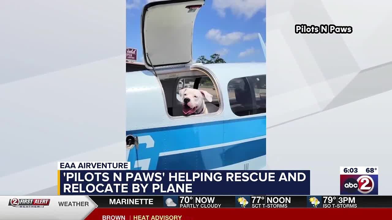 EAA interview: Pilots N Paws - YouTube