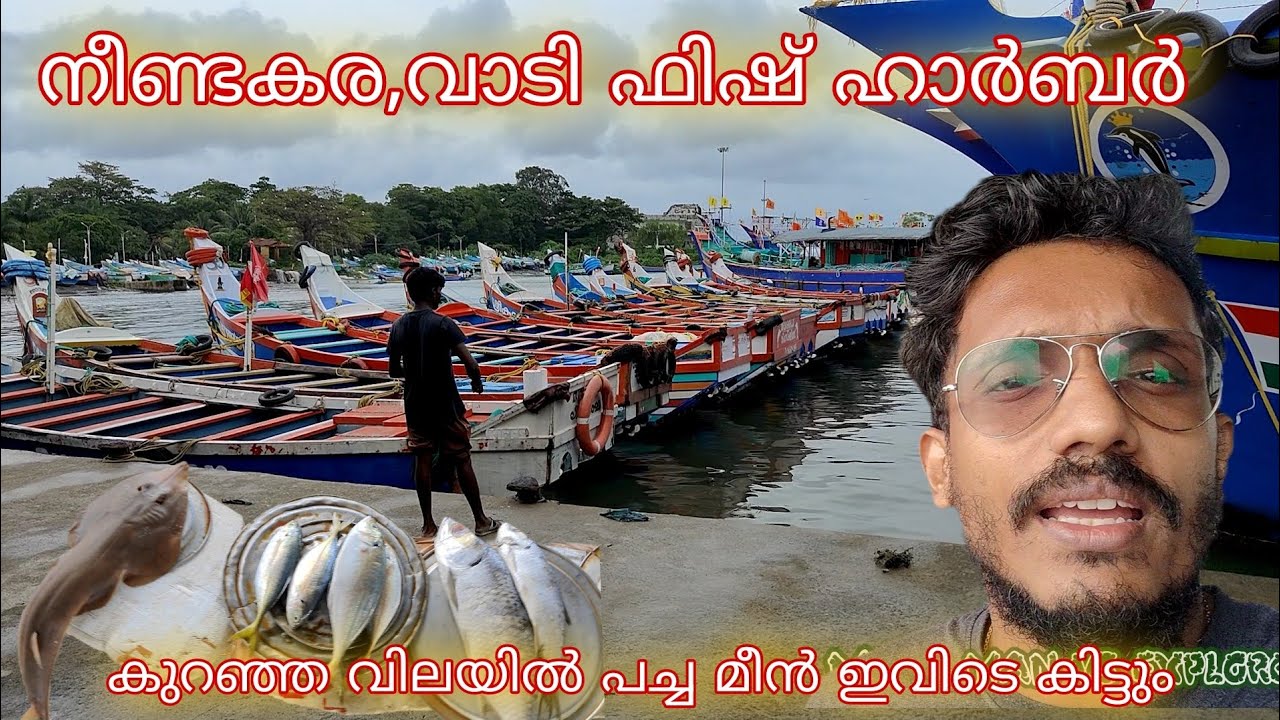 നീണ്ടകര & വാടി ഫിഷ് ഹാർബർ, ഏറ്റവും വില കുറച്ചു പച്ചമീൻ എവിടെ കിട്ടും ...