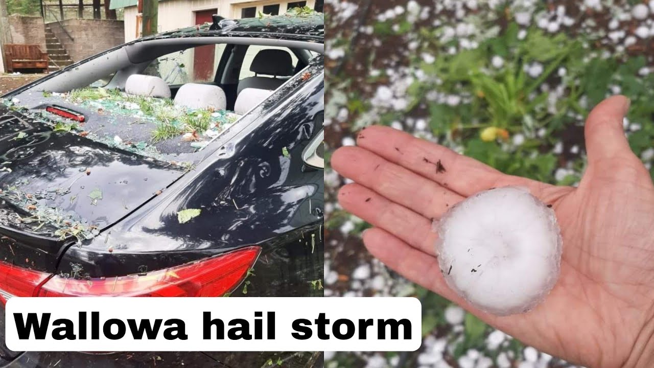 Hail in wallowa. damage Animals are all fine - YouTube