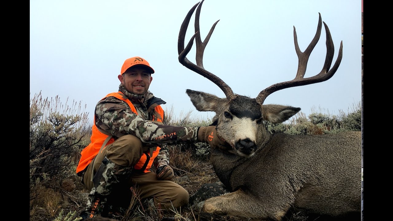 SEMI LIVE MULE DEER HUNT | EPISODE 3 - YouTube