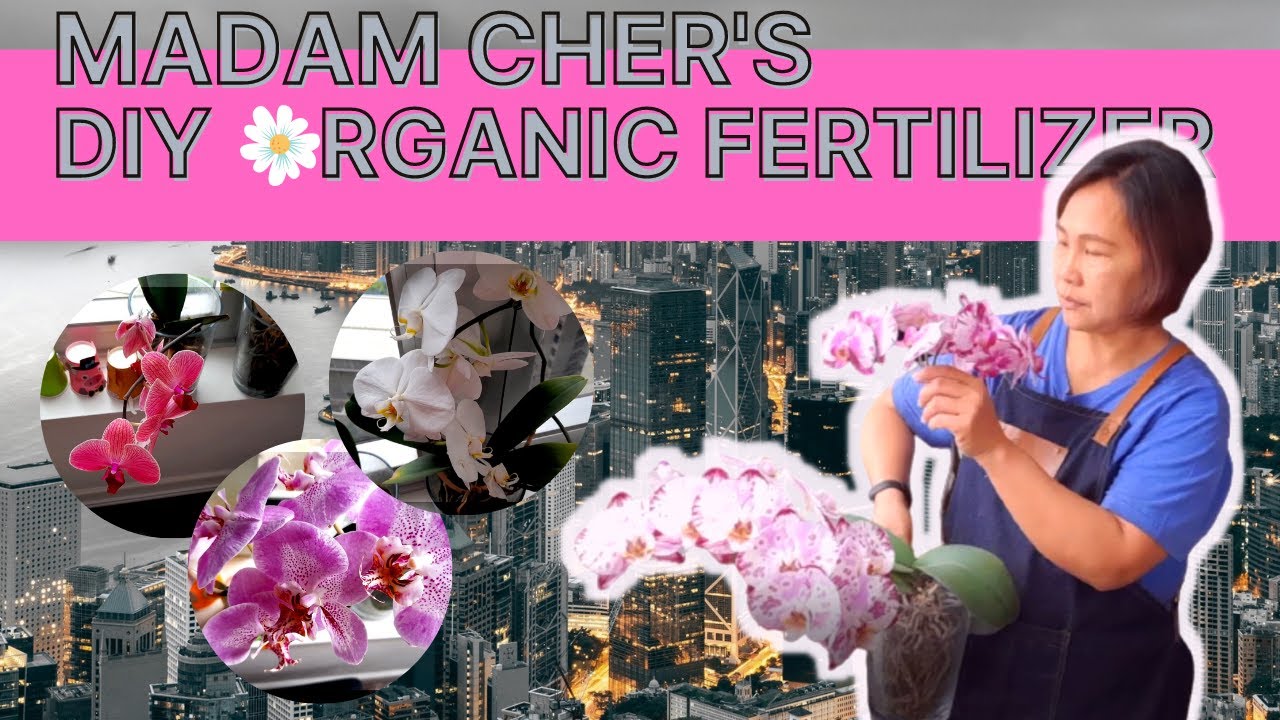 VLOG #25 - MADAM CHER'S DIY ORGANIC FERTILIZER - YouTube