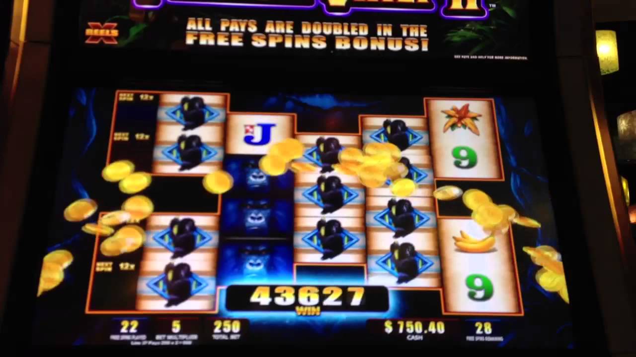 50 Free Spins Big Win Gorilla Chief 2 - YouTube