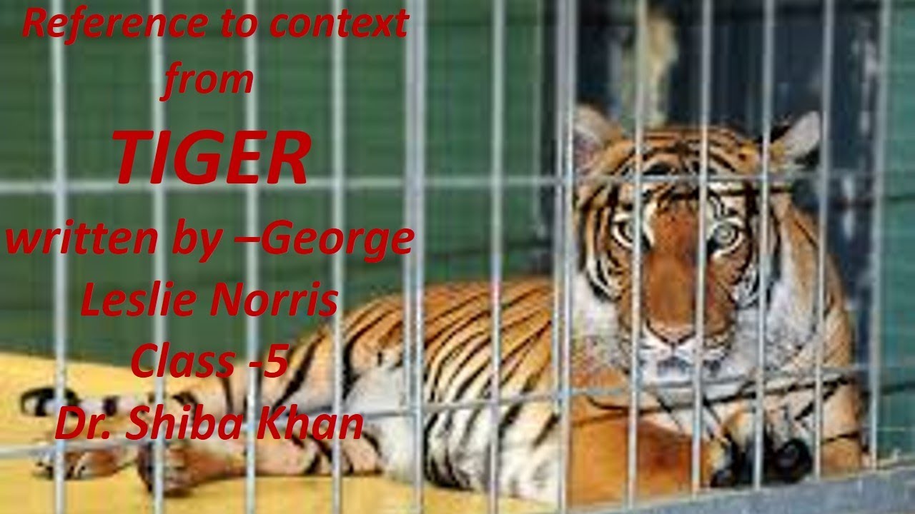 English Class -5 - Reference to context from the poem TIGER - YouTube