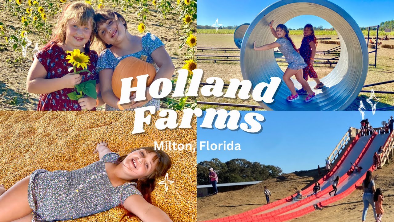 Holland Farms | Milton, Florida 🎃🌽🌻 Fall Fun Activities - YouTube