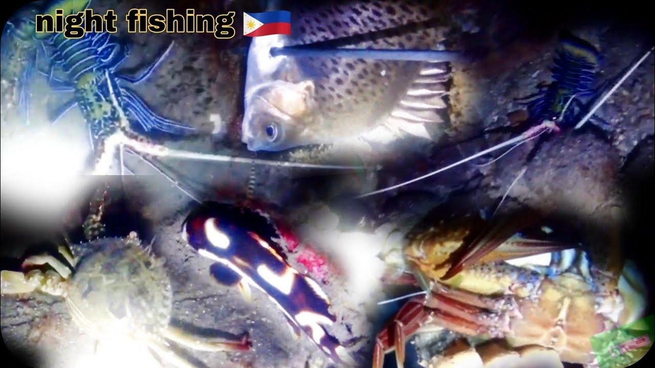 Ganito ko hulihin ang mga katang or crabs, (night fishing) - YouTube