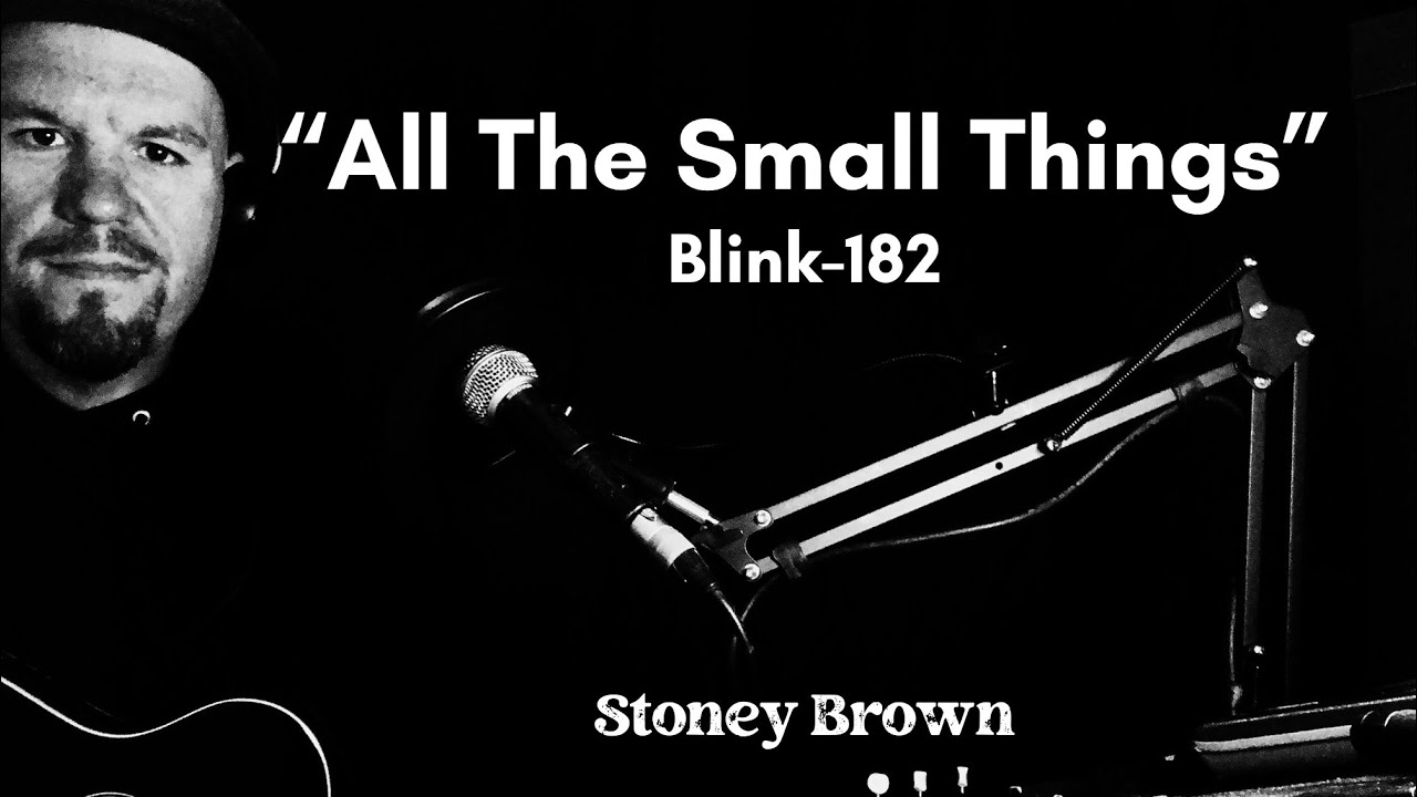 All The Small Things (Acoustic Cover) - Blink-182 | Stoney Brown - YouTube