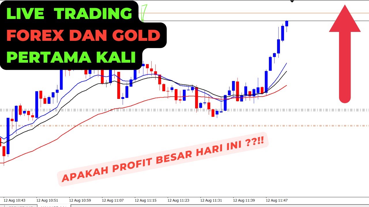 HASIL LIVE!! TRADING FOREX DAN GOLD SCALPING //PROFIT/LOSS ??! - YouTube