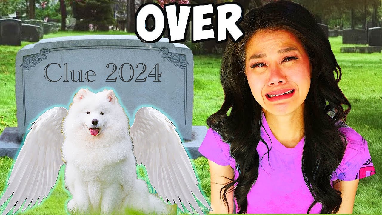 (HELP!) SHINOBI IS DEAD?! 😱 GoodBye Spy Ninjas Vy Qwaint & Chad Wild ...