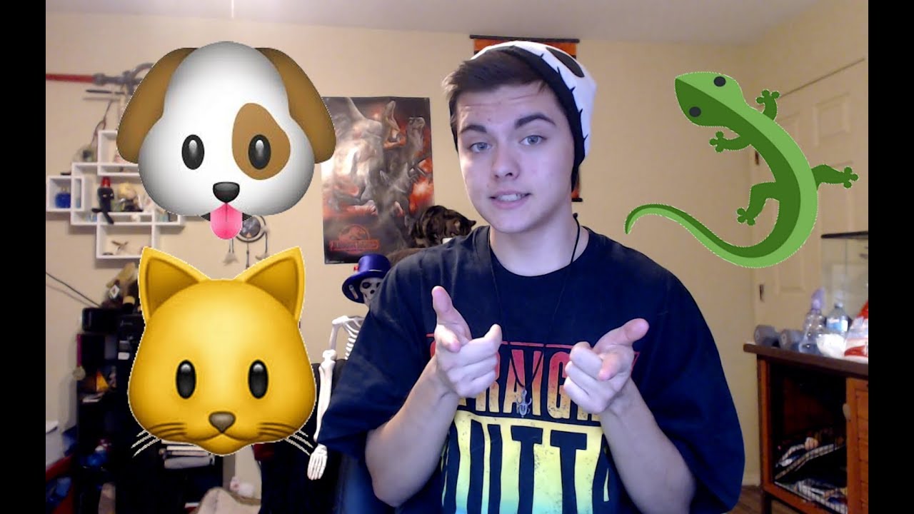 Meet My Pets - YouTube