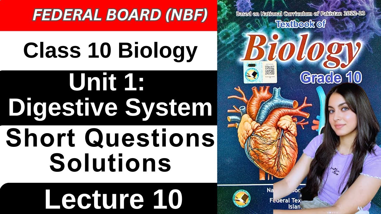 Short Questions Answers | Unit:01 Digestive System | Class 10 Biology ...