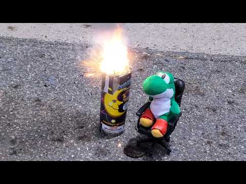 Back up, Yoshi! (Back up, Terry)
