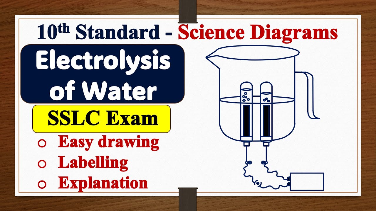 Electrolysis of Water diagram| DRAWING | LABELLING | Explanation | SSLC ...