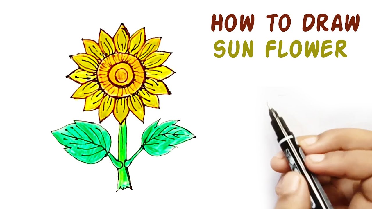 How to draw sun Flower very easy - YouTube