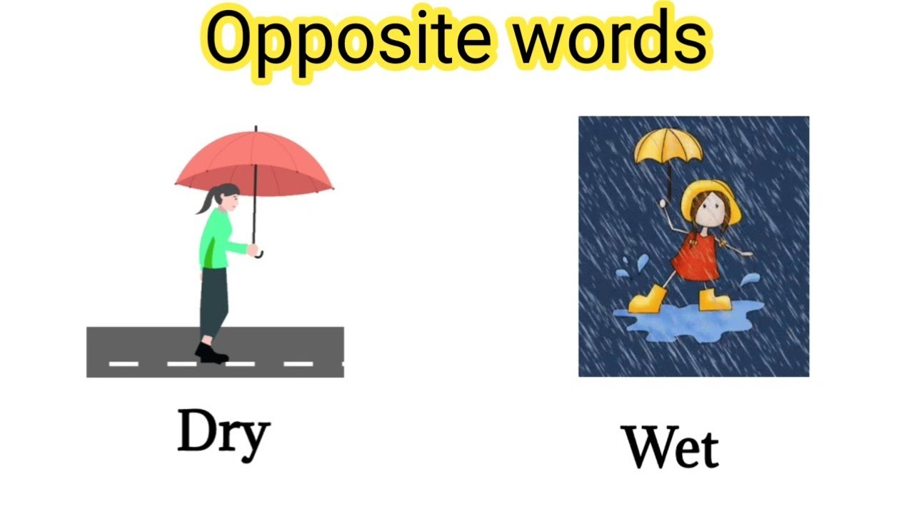 Antonyms / Opposite words / Learn opposite words / opposite words with ...