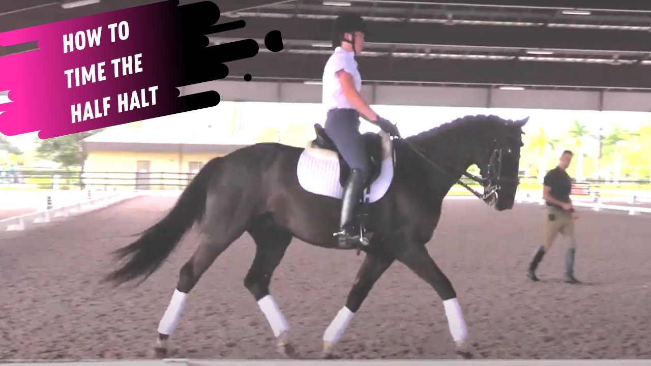Robert Dover: How To Time The Half Halt In Dressage - YouTube