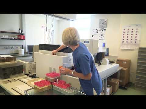 Blick hinter die Kulissen: Labor