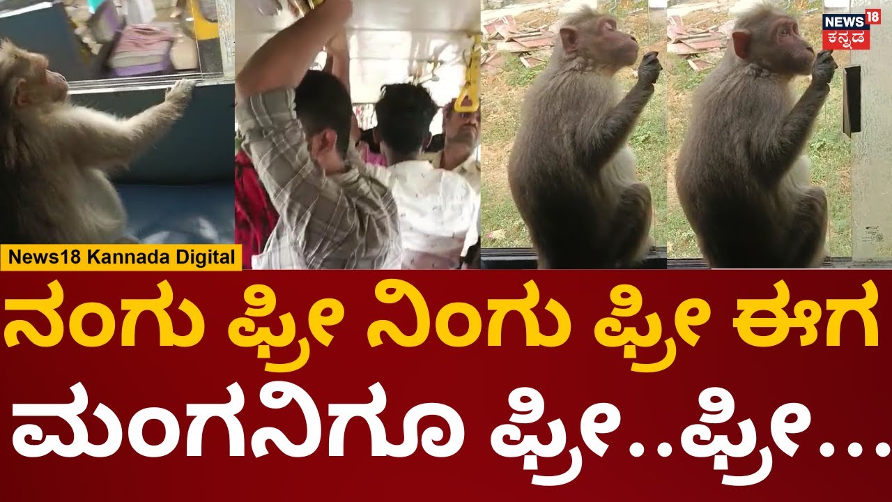Monkey Travel in KSRTC Bus | ಮಹಿಳೆಯರಂತೆ ಶಕ್ತಿ ಯೋಜನೆಯನ್ನ ಉಪಯೋಗಿಸಿಕೊಂಡ ...